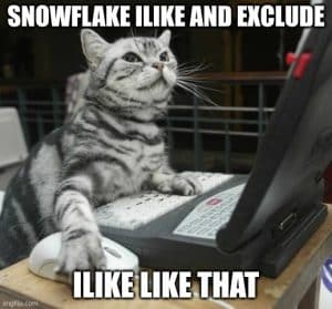 How Snowflake EXCLUDE and ILIKE protects you from bad SQL. ILIKE it ...